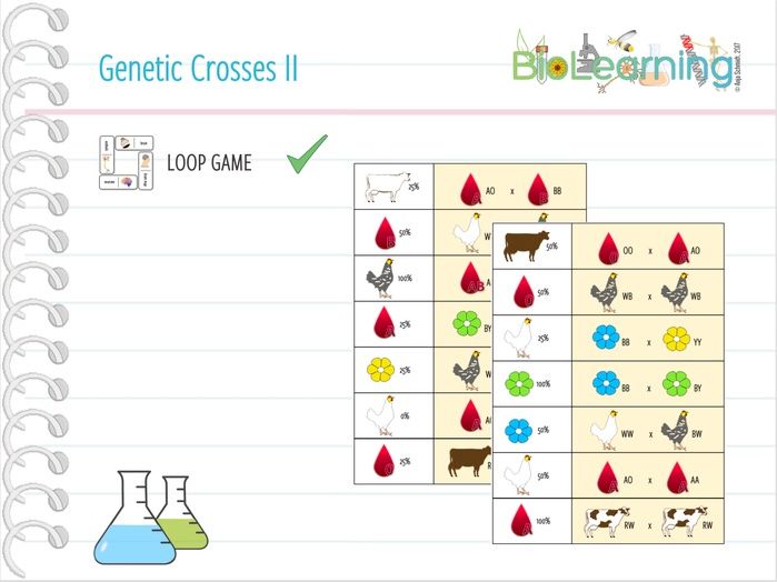 Genetic Crosses II - Loop Game (KS4/KS5) | Teaching Resources