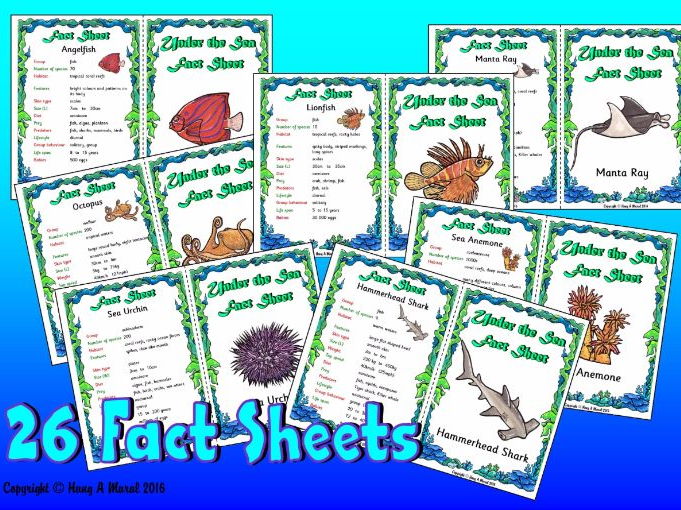 Under The Sea Animals Fact Sheets | Teaching Resources