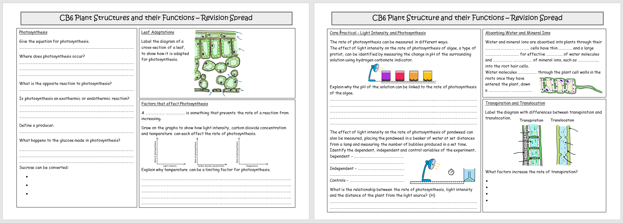 CB6 Plant Structures and their Functions | Teaching Resources
