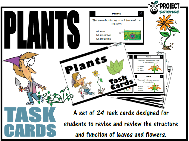 Plants Task Cards | Teaching Resources
