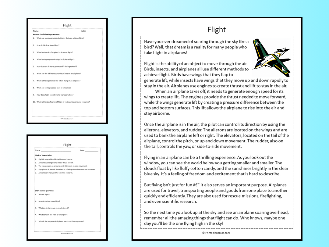 Flight Reading Comprehension Passage Printable Worksheet | Teaching ...