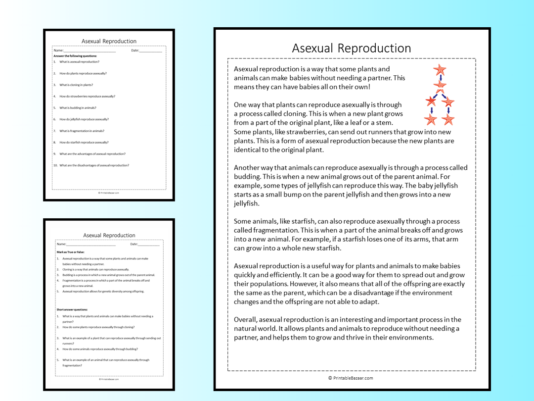 Asexual Reproduction Reading Comprehension Passage Printable Worksheet ...