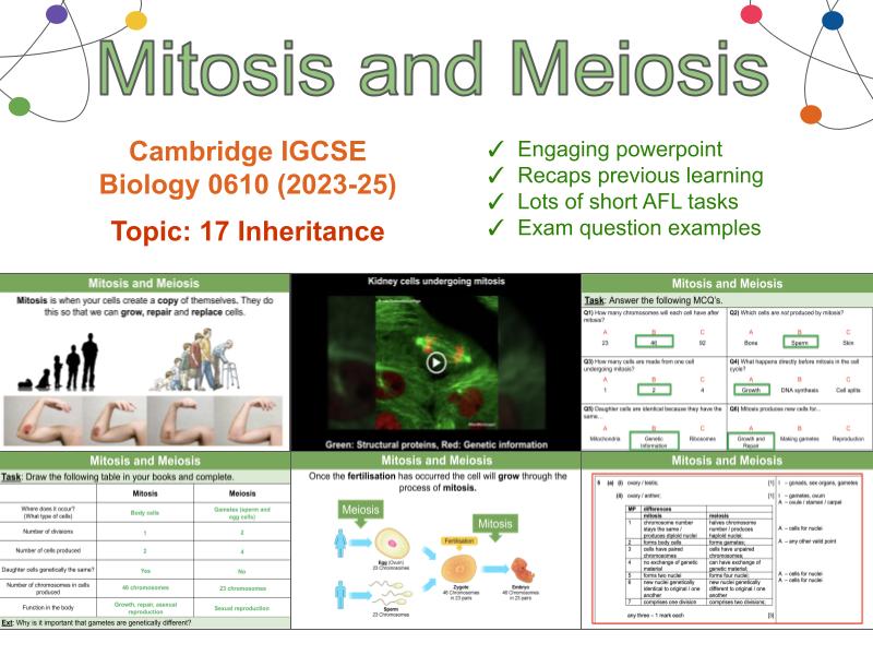 Cell Division - Mitosis and Meiosis | Teaching Resources
