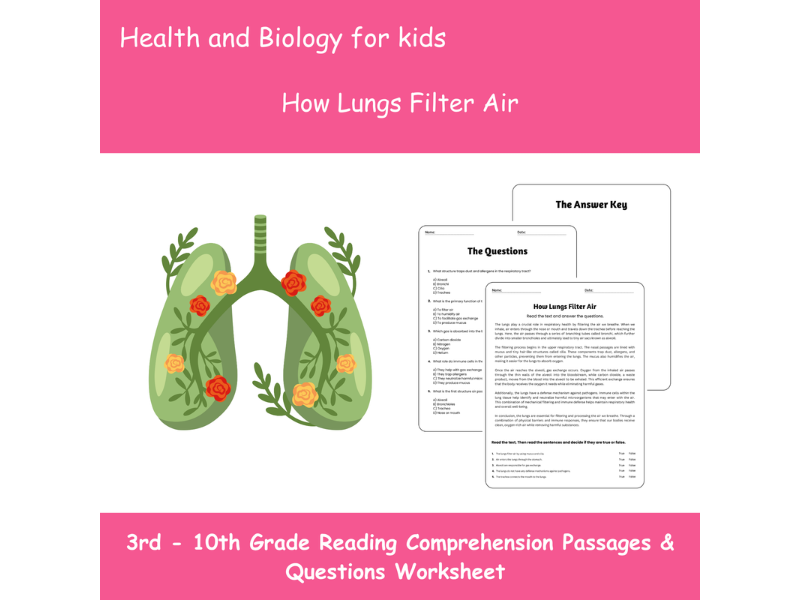 How Lungs Filter Air Reading Comprehension Passages & Questions ...