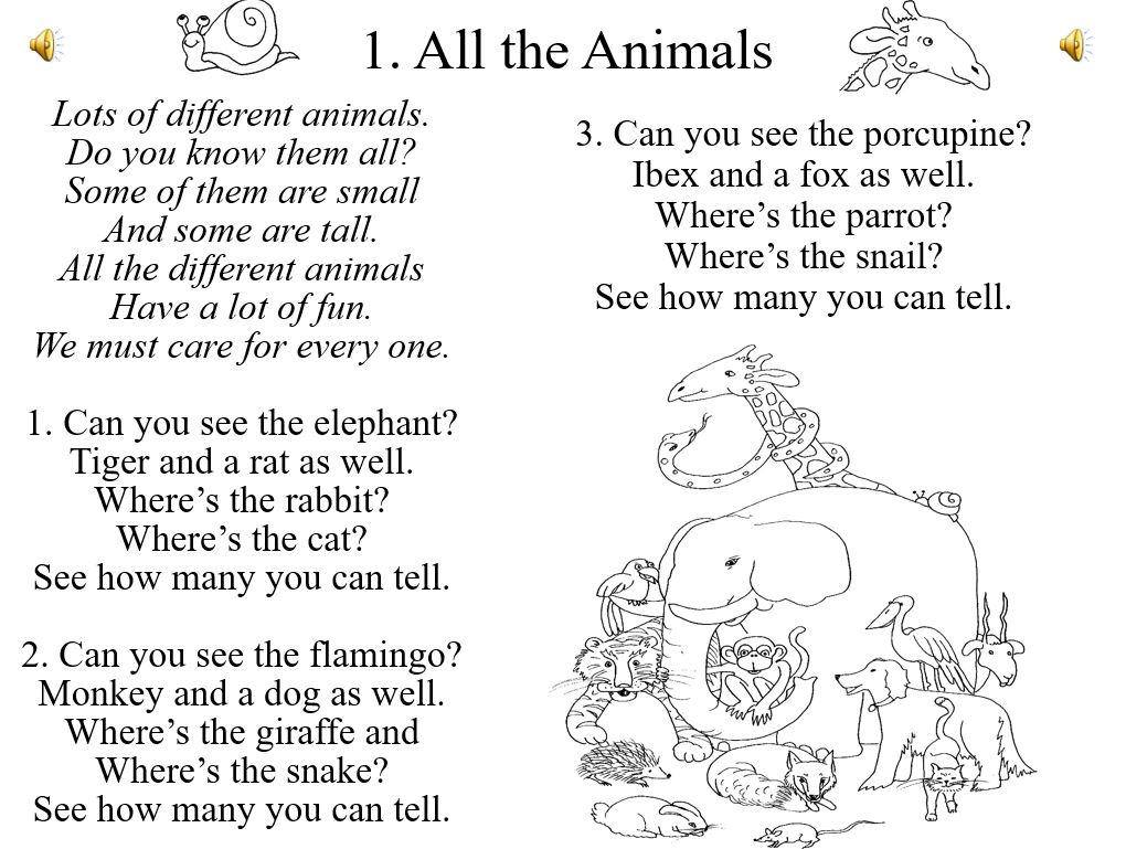 Animals Song Pack Teaching Resources
