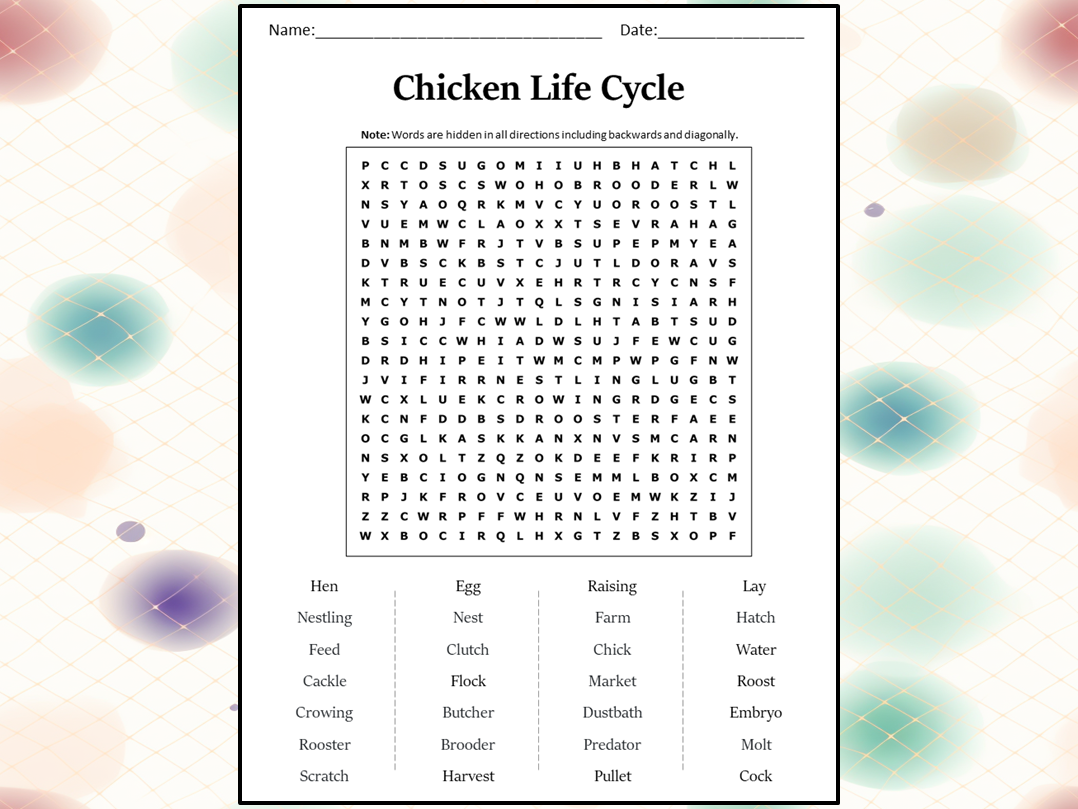 Chicken Life Cycle Word Search Puzzle Worksheet Activity Teaching 