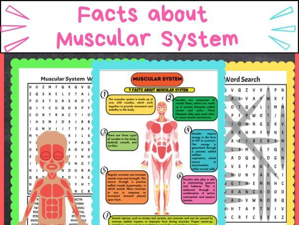 Human Body Systems | Muscular System | Facts and Word Search | Teaching ...