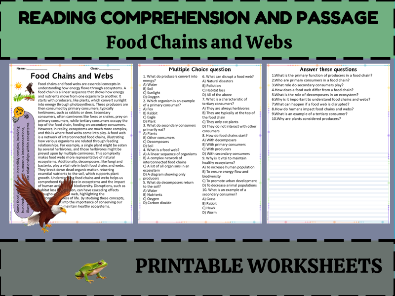 Explore Food Chains and Webs: Engaging Reading Material with Questions ...