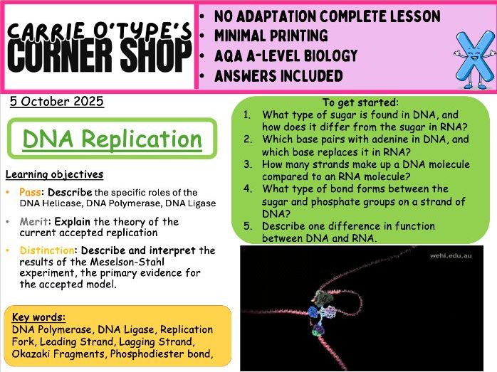 DNA Replication - AQA A-Level Biology | Teaching Resources