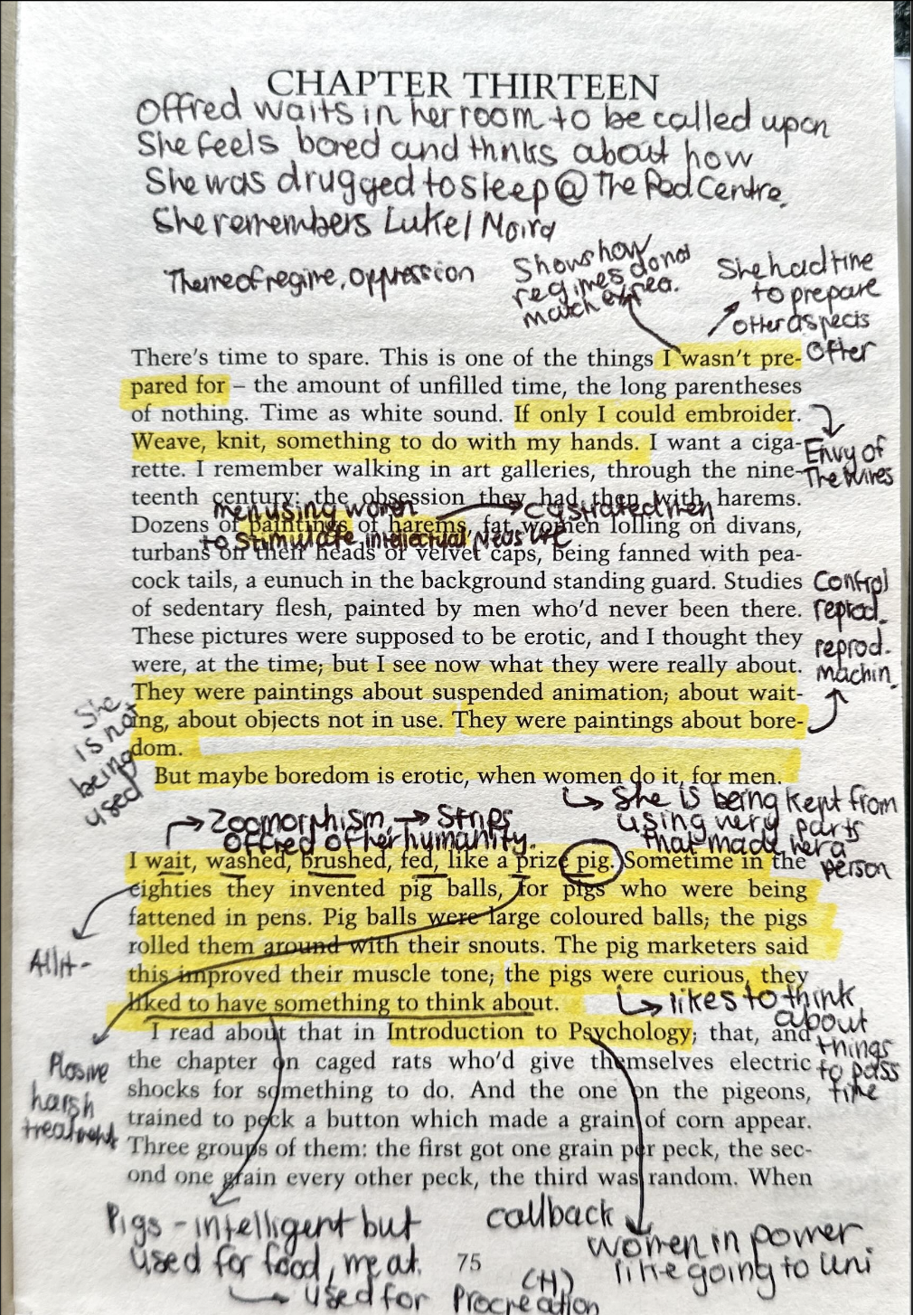 The Handmaid's Tale: Chapters 14-30 Annotations | Teaching Resources