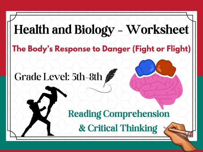 The Body’s Response to Danger (Fight or Flight): Reading Comprehension ...