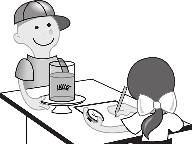 Work - Practical Activity Guide | Teaching Resources