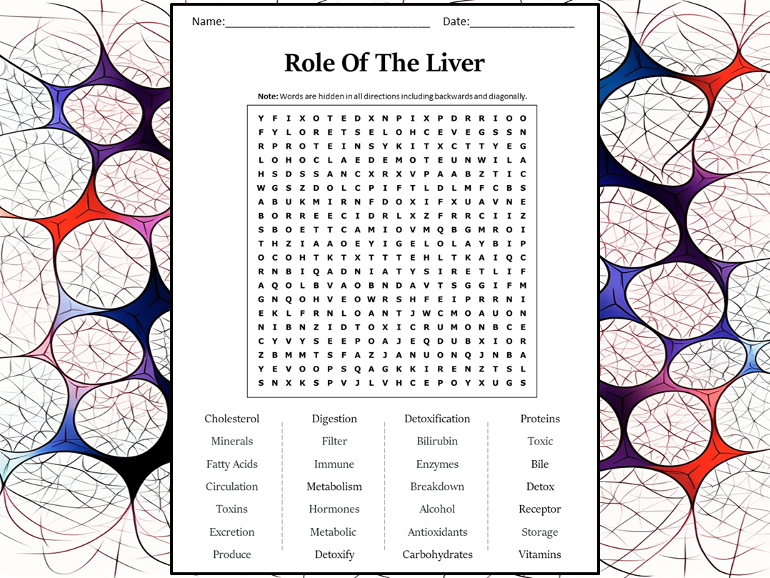 Role Of The Liver Word Search Puzzle Worksheet Activity | Teaching ...