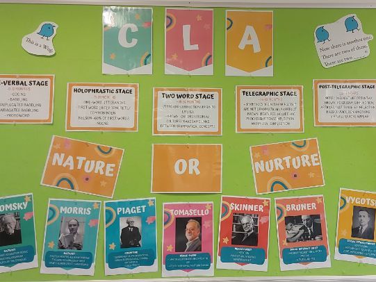 Child Language Development Classroom Display - English Language A Level ...