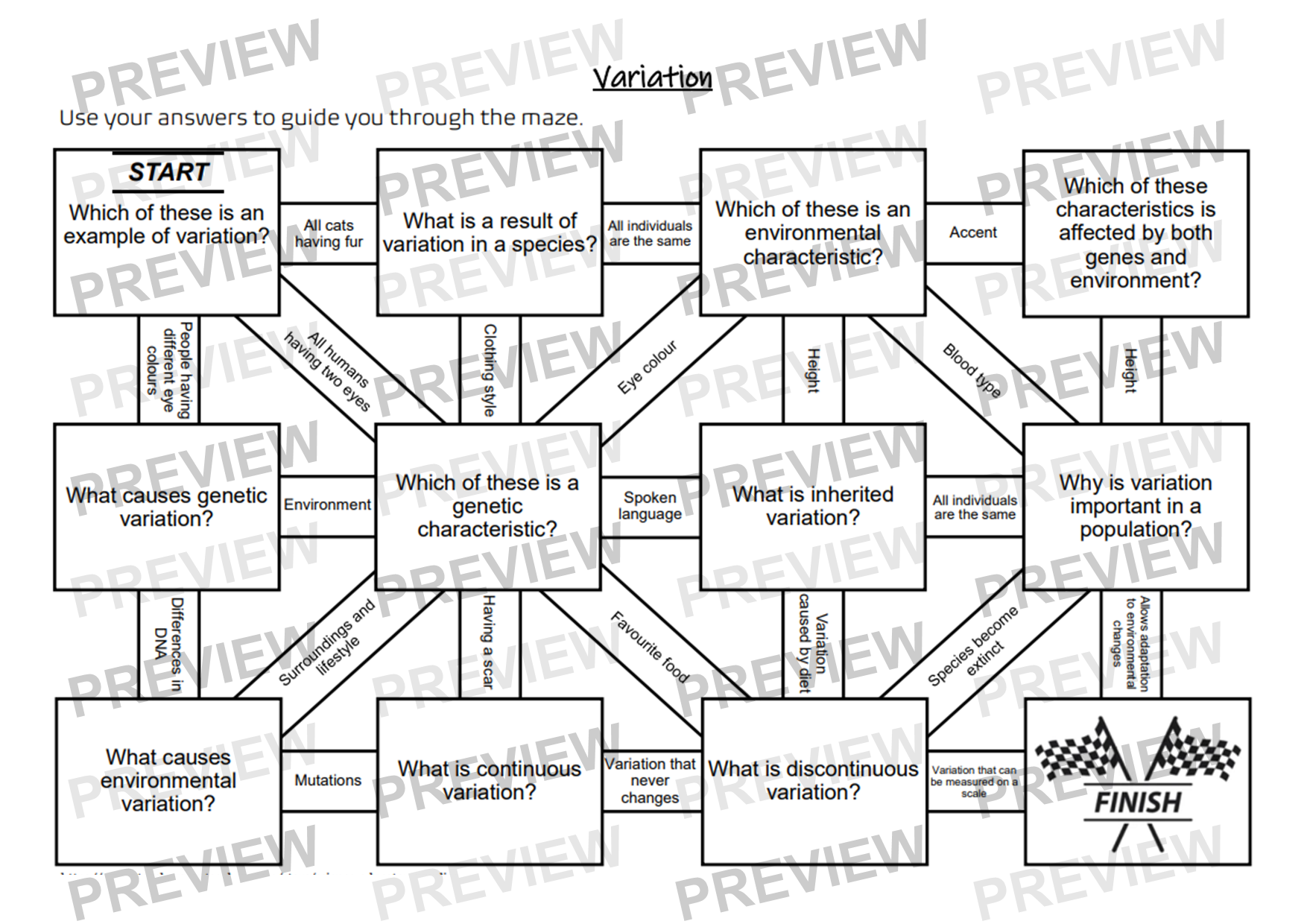 Variation Maze Worksheet | KS2–KS3 Science Revision Activity | Teaching ...