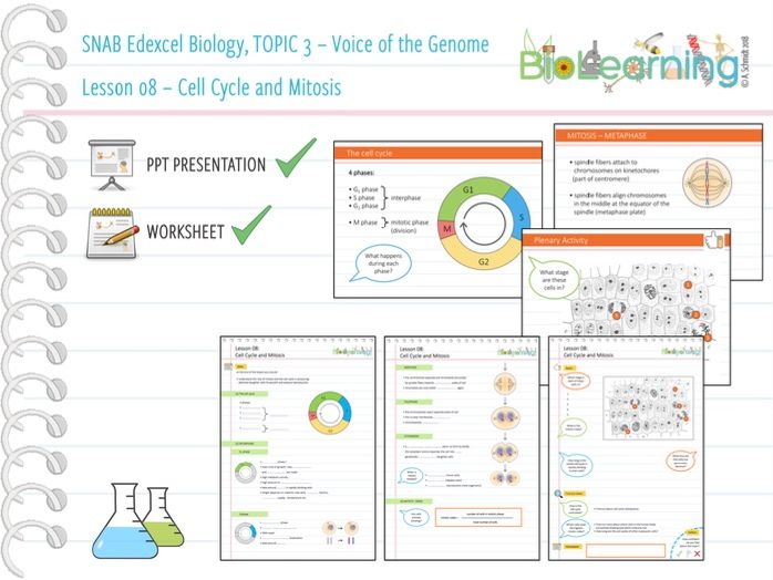 SNAB Biology Topic 3 - Lesson 08 (Cell Cycle and Mitosis) - WS and PPT ...