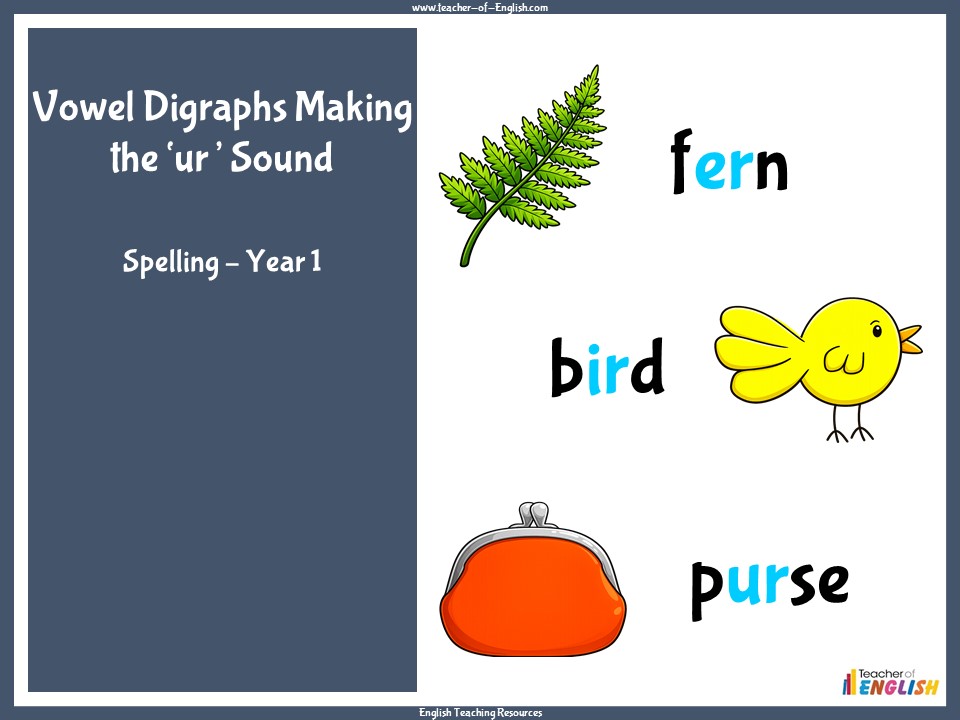 Vowel Digraphs Making the 'ur' Sound - Year 1 Spelling | Teaching Resources