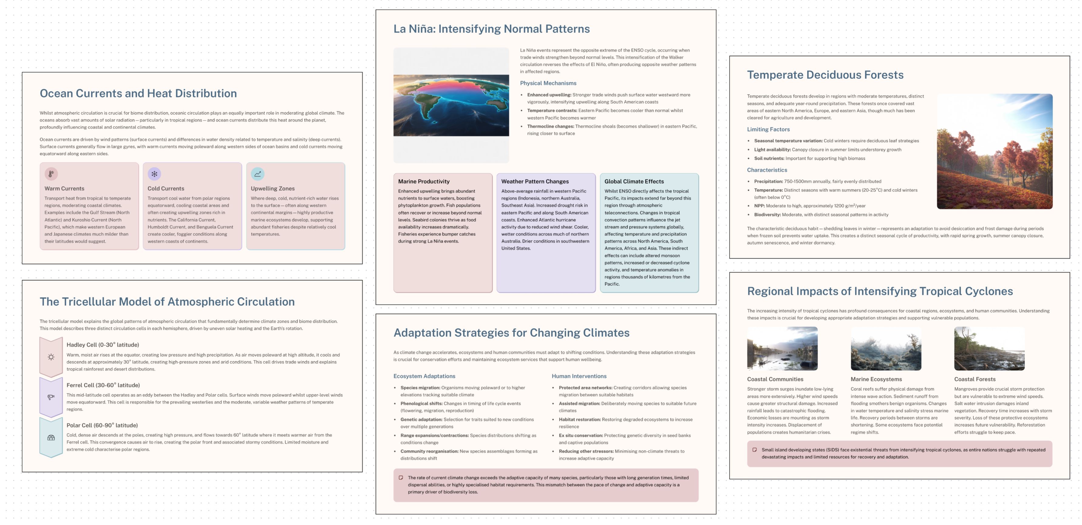 IB DP ESS 2.4 Climate and Biomes - Teaching Notes & PowerPoint 2026 ...