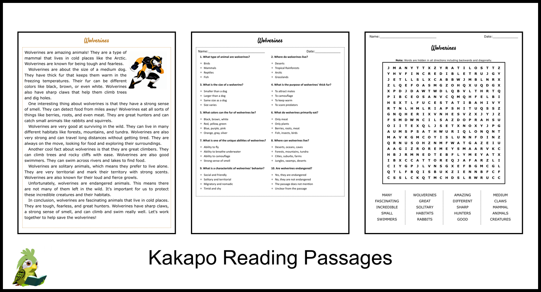 Wolverines Reading Comprehension and Word Search | Teaching Resources