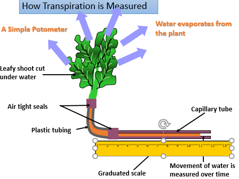 Key Stage 3 Bioenergetics - respiration and photosynthesis | Teaching ...