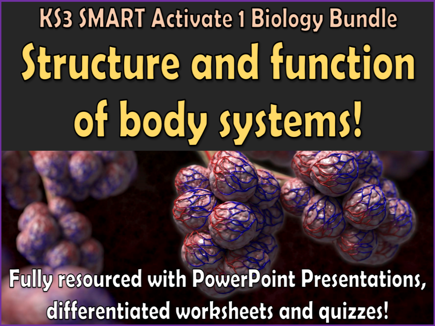 Structure And Function Of Body Systems SMART Activate 1 KS3 Biology 