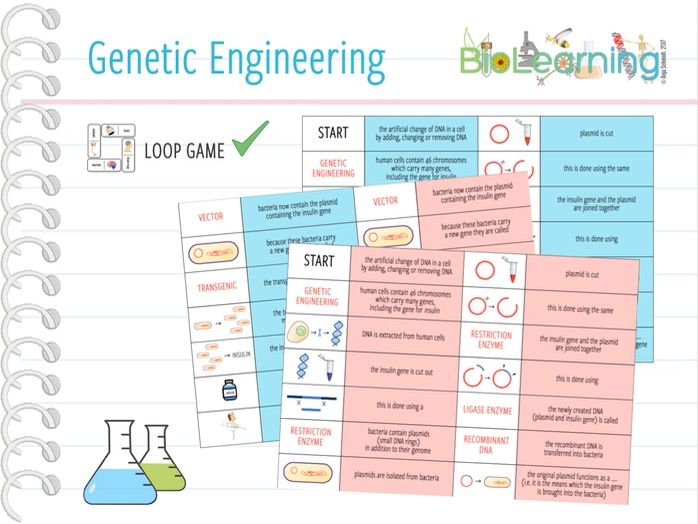 Genetic engineering - Loop Game (KS4) | Teaching Resources