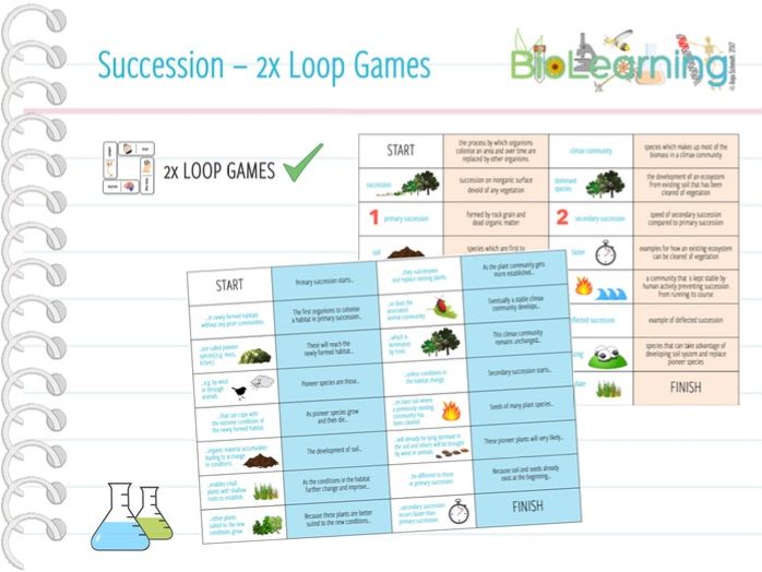 Succession - 2x Loop Games (KS5) | Teaching Resources
