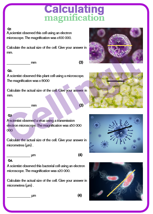 Microscopy & Magnification - T Level Health - Core B1 Science Concepts ...