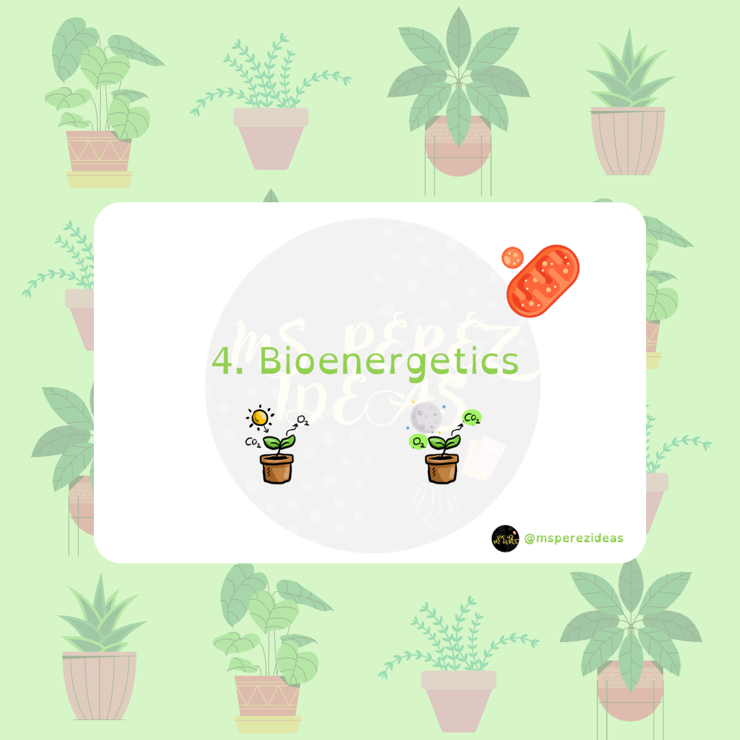 Unit Cover 4 - Bioenergetics | Teaching Resources