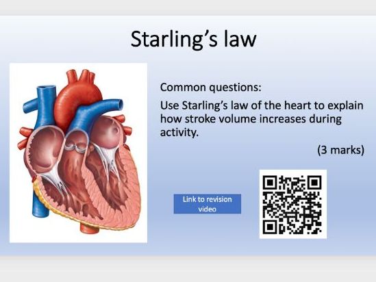A Level PE Revision Flashcards - Year 1 (AQA) | Teaching Resources