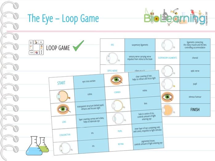 Eye Structure - Loop Game (KS3/KS4) | Teaching Resources