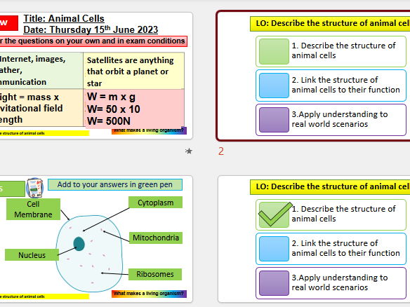 Animal cells KS3 | Teaching Resources