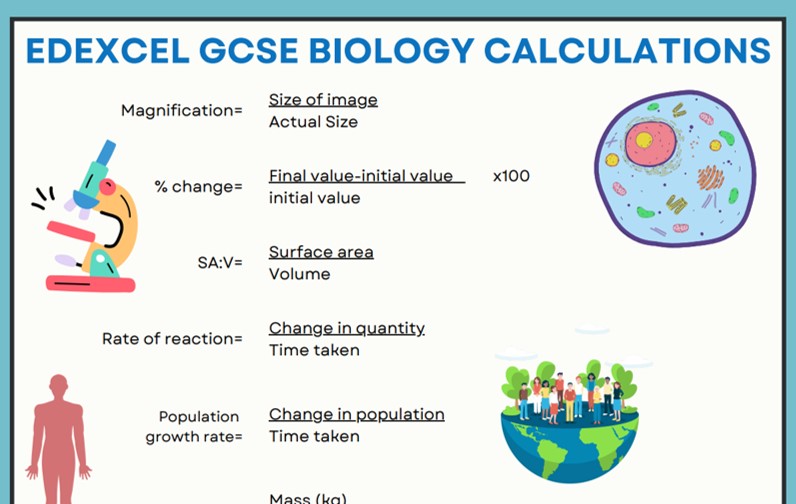 GCSE BIOLOGY CALCULATIONS | Teaching Resources