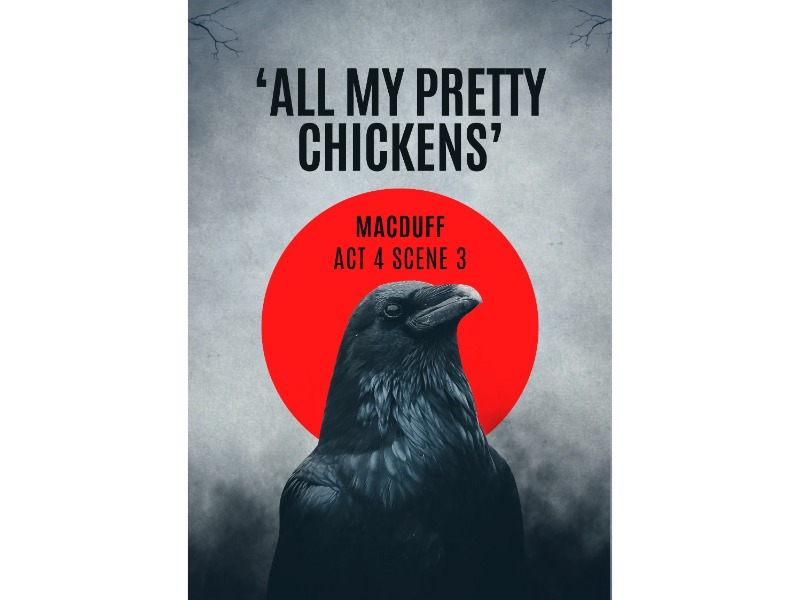 Macbeth Bird Quotations - 11 Posters: Engage & Excel | Teaching Resources