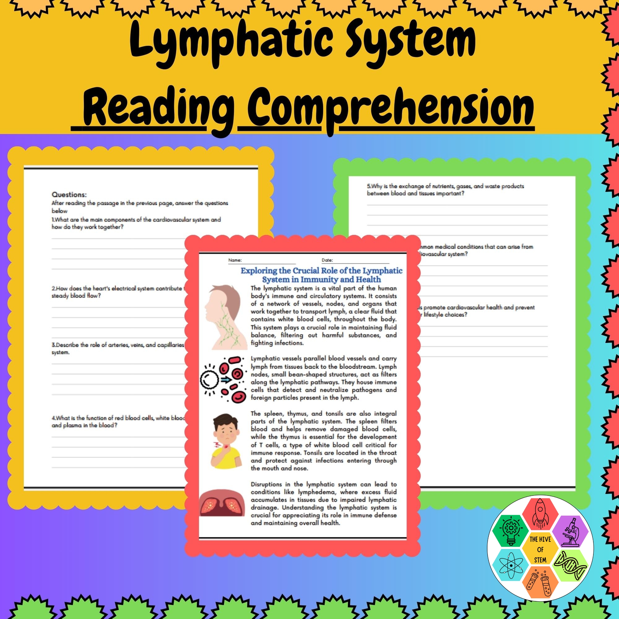 Human Body Systems | Lymphatic System | Reading Comprehension ...