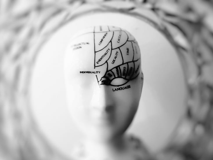 AQA A-Level Psychology Biopsychology – Biological Rhythms (Circadian ...