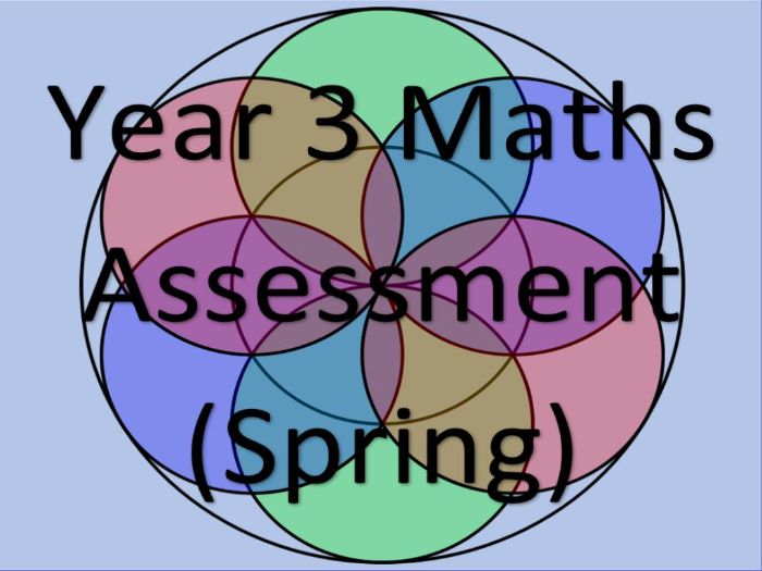 Year 3 Maths Assessment And Tracking SPRING Teaching Resources Year 3 Maths Assessment And Tracking SPRING Teaching Resources
