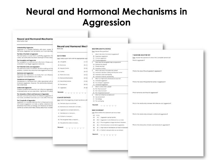 Neural and Hormonal Mechanisms in Aggression | Teaching Resources