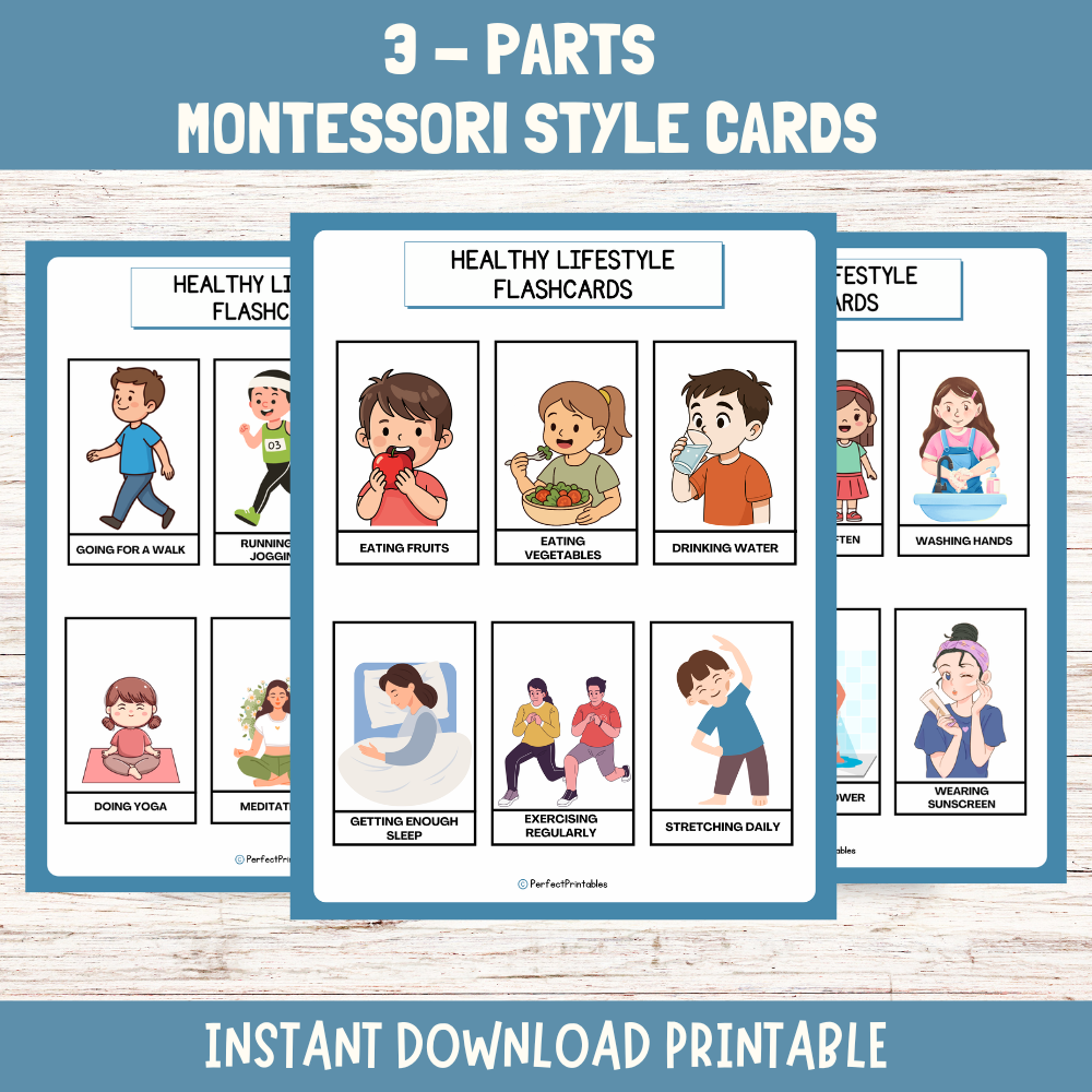 Maintaining a Healthy Lifestyle Flashcards: 3-Part Montessori Health ...