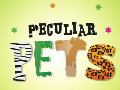 Peculiar Pets Poetry Writing Activity & Resources | Teaching Resources