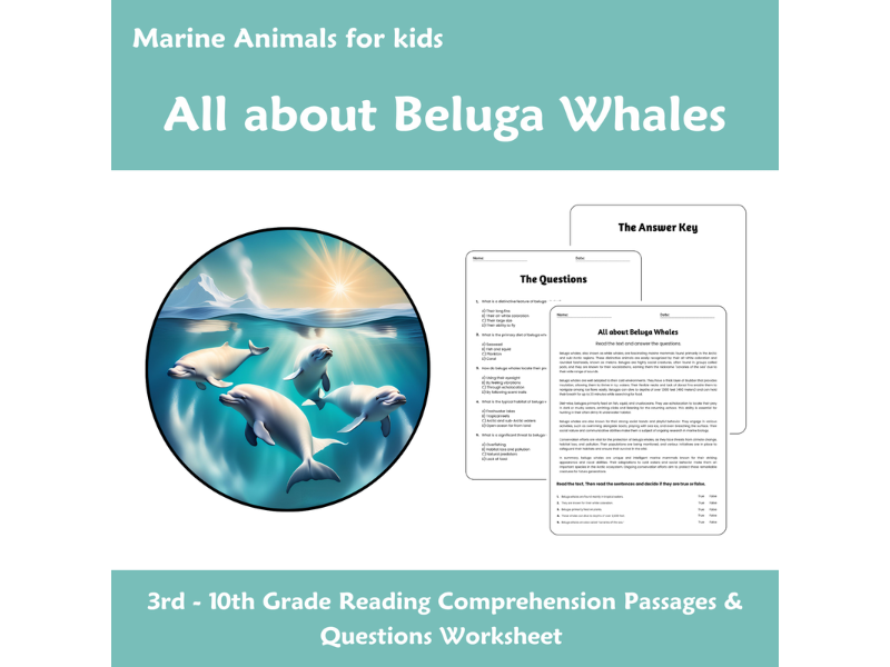 All About Beluga Whales - Reading Comprehension Passages & Questions ...