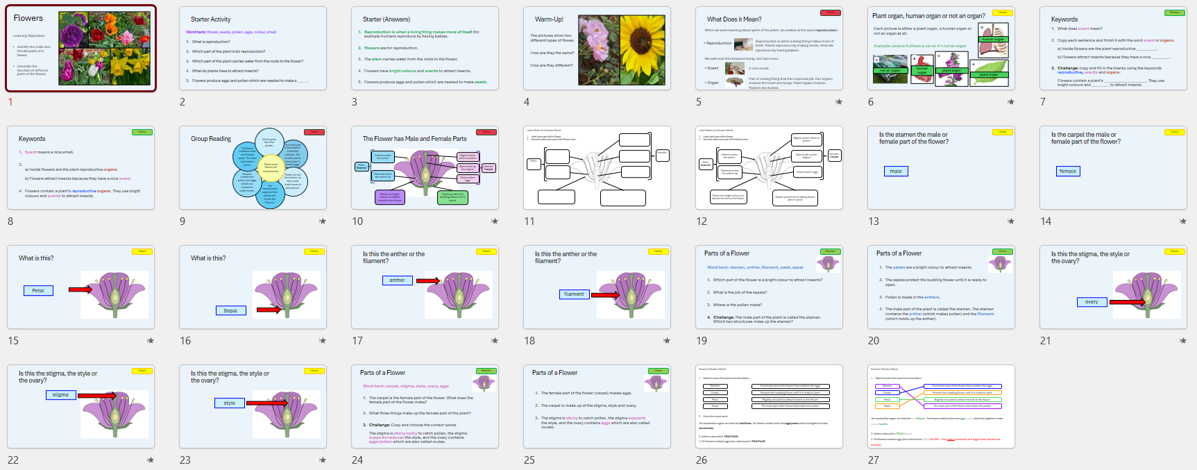 Flowers Lesson KS2 | Teaching Resources