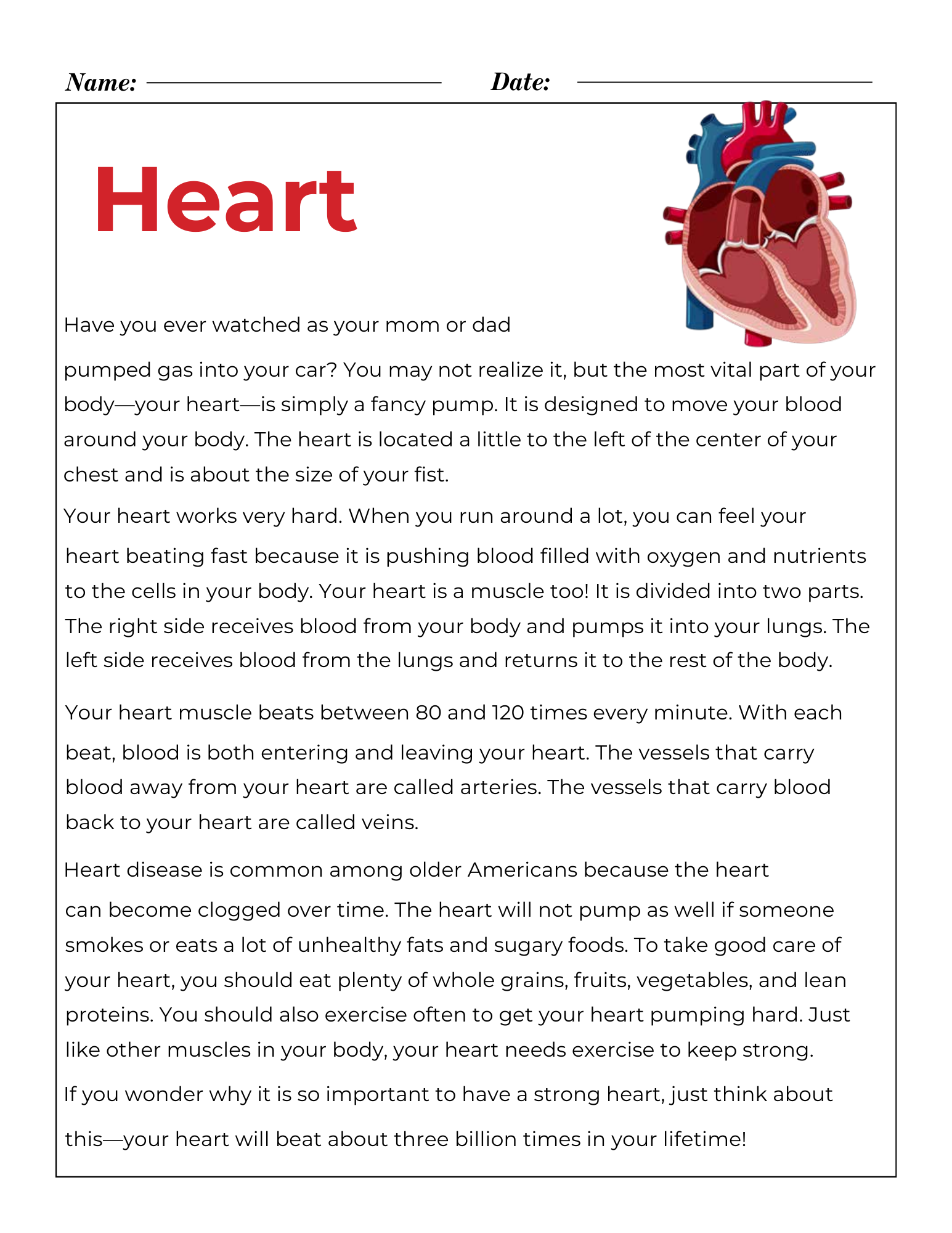 The Human Heart (Reading Passage & Diagram Activity) | Teaching Resources