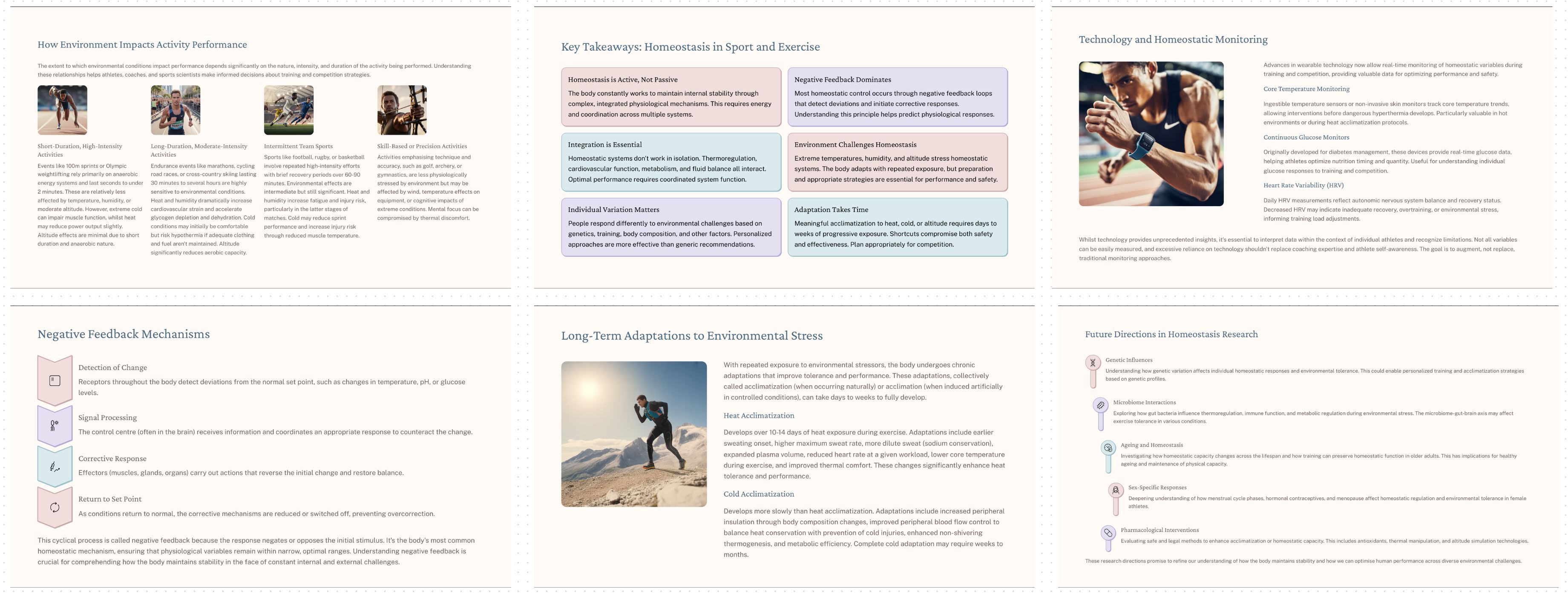 IB DP SEHS A1.2: Maintaining Homeostasis Teaching Notes & Revision ...