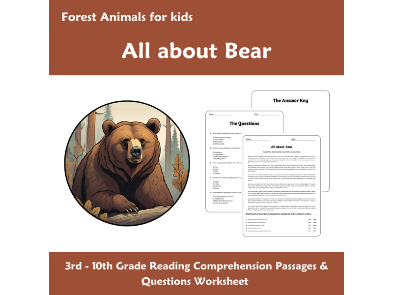 All About Bears - Reading Comprehension Passages & Questions Worksheets ...
