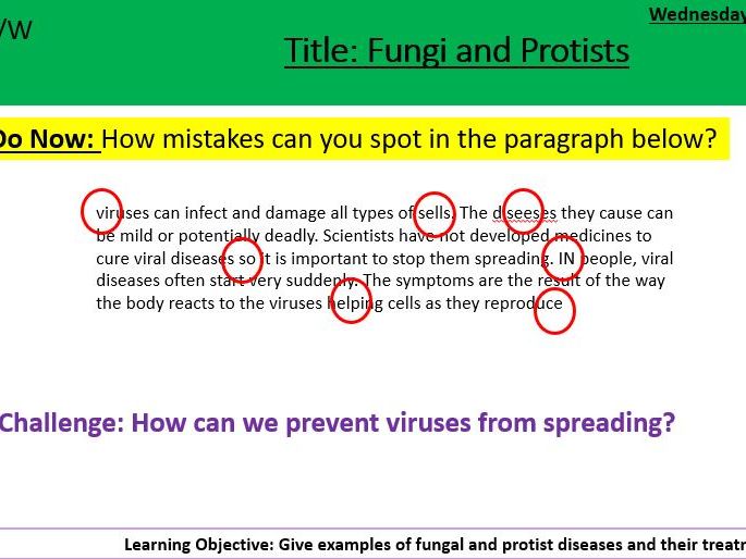 Fungal and Protist Disease | Teaching Resources