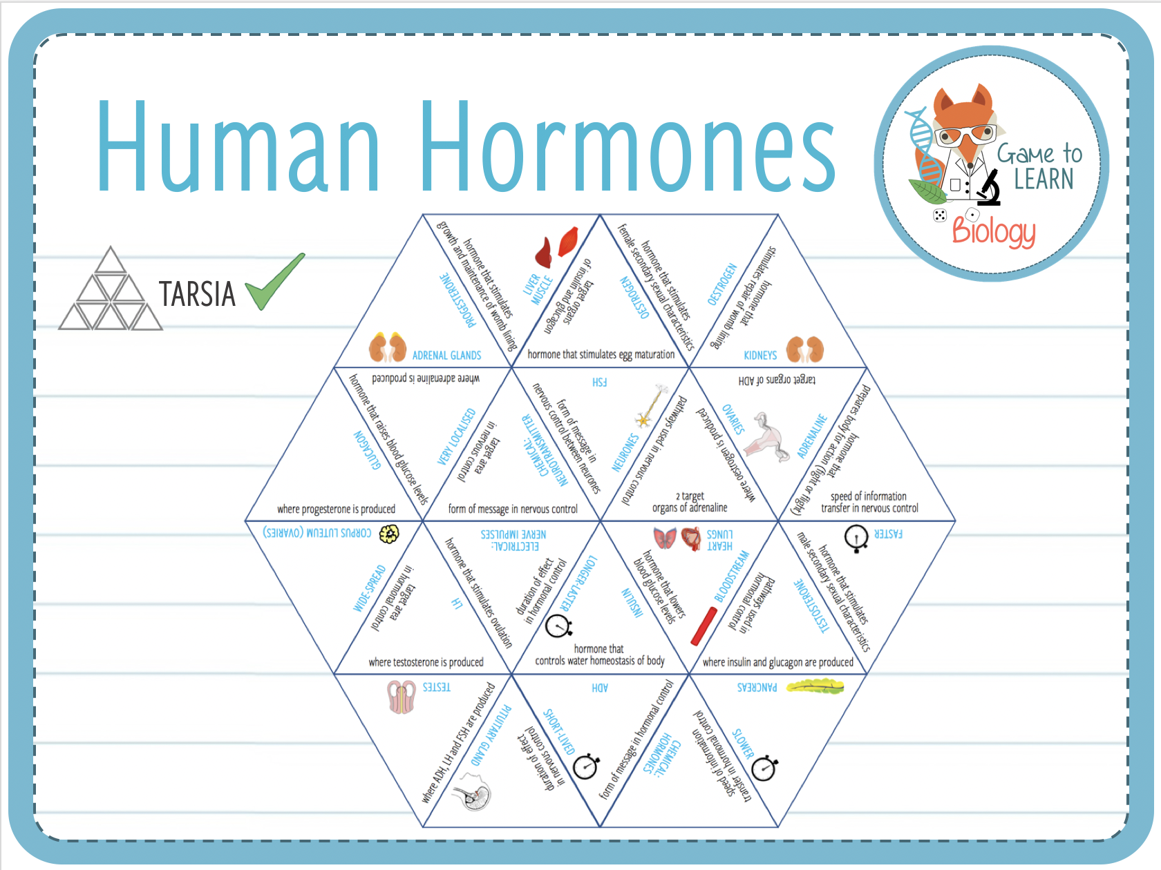 Human hormones - Tarsia (KS3/4) | Teaching Resources