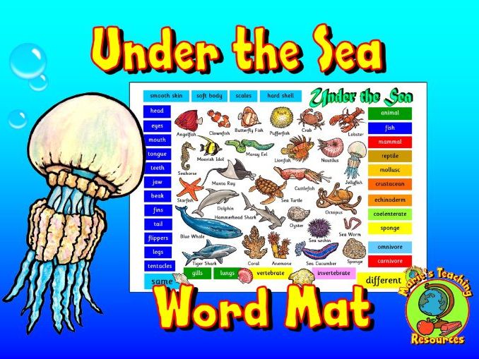 Under The Sea - Word Mat | Teaching Resources