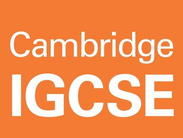 IGCSE History - The New Deal 1st + 2nd | Teaching Resources