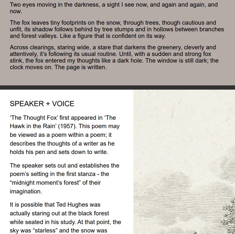 'The Thought-Fox' by Ted Hughes - Study Guide | Teaching Resources